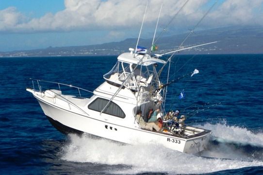 GAIA TOURISM » Island of Sal Fishing